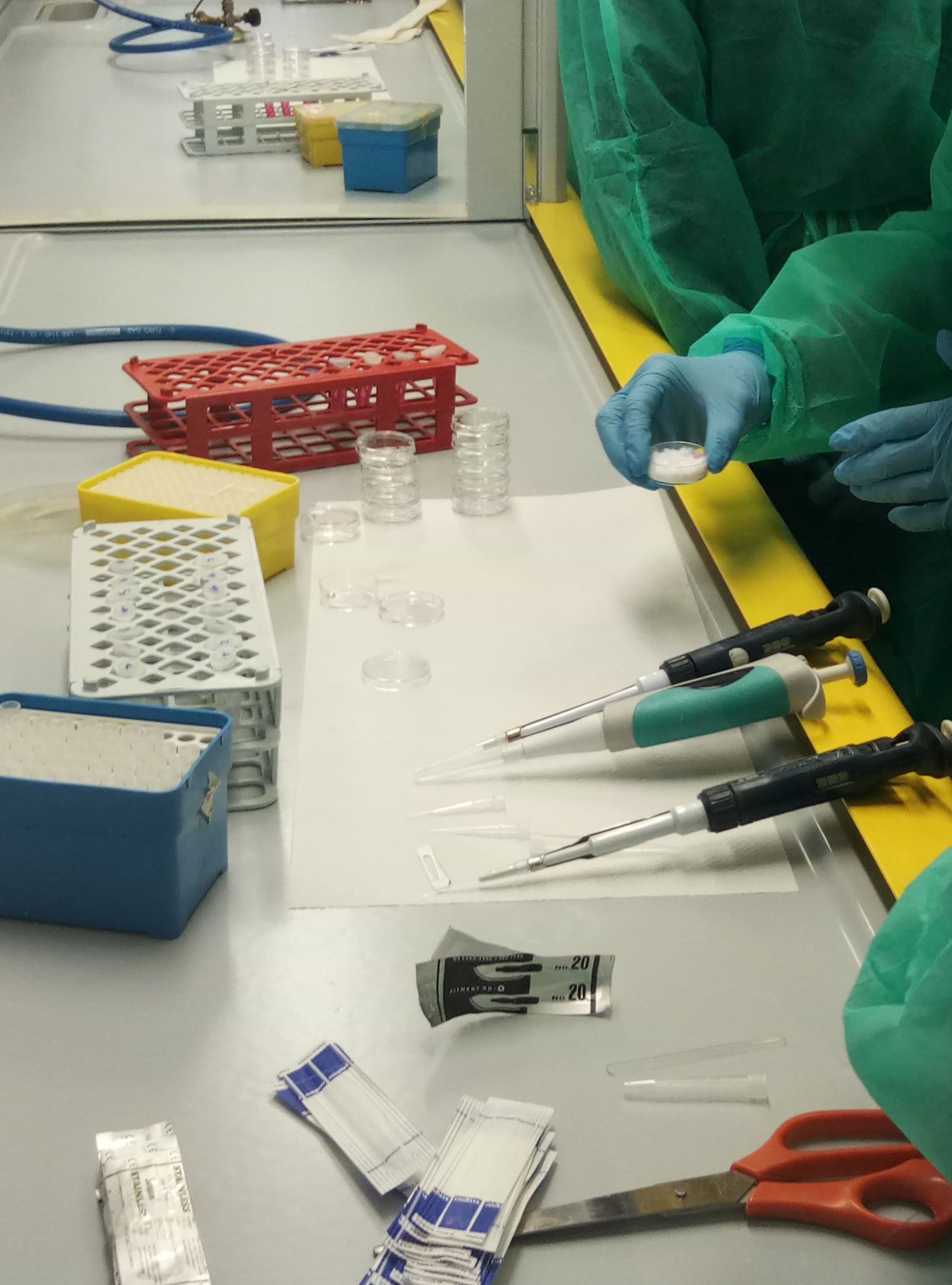 dr. sc. Dajana Krsnik – HRZZ